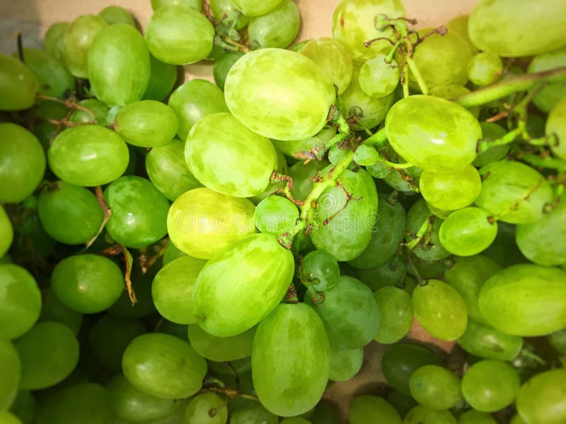 Fresh green grapes stock photo. Image of background - 121194710