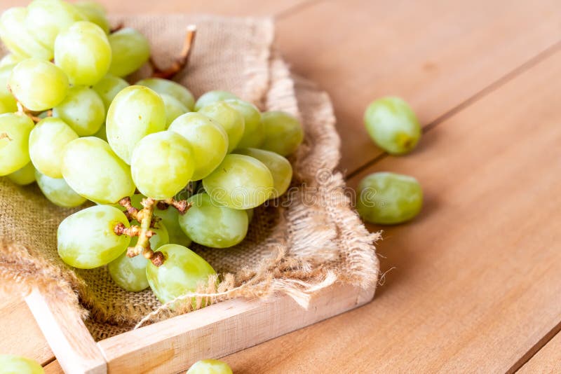 Fresh green grapes stock photo. Image of autumn, ripe - 153850074