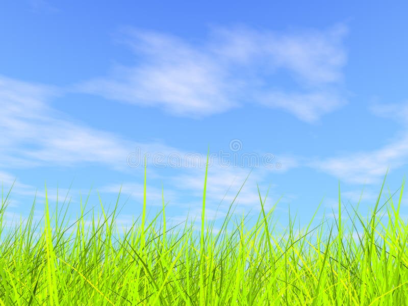 Fresh Green Grass on Blue Sunny Sky Background Stock Image - Image of ...