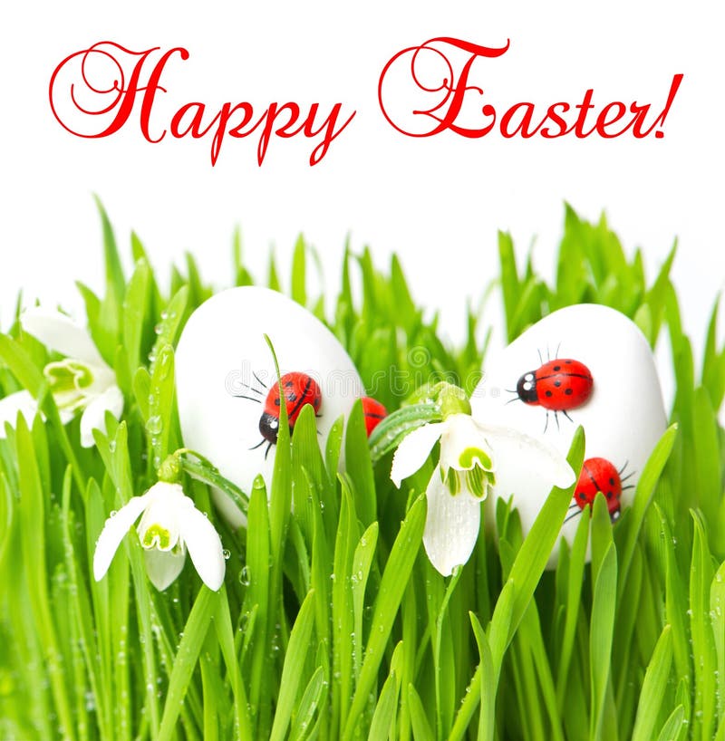 Easter Colored Eggs on the Grass. Stock Photo - Image of bright ...