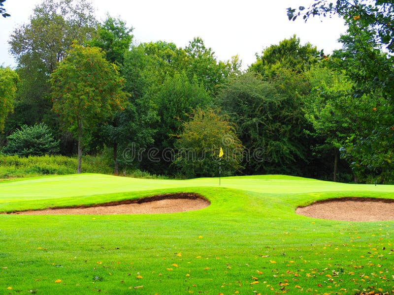 Fresh Green Grass for Golf Sport Outdoor Stock Photo - Image of lawn ...