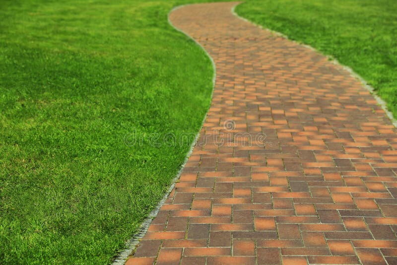 Fresh Green Grass Growing Near Pavement Path Outdoors Stock Image ...