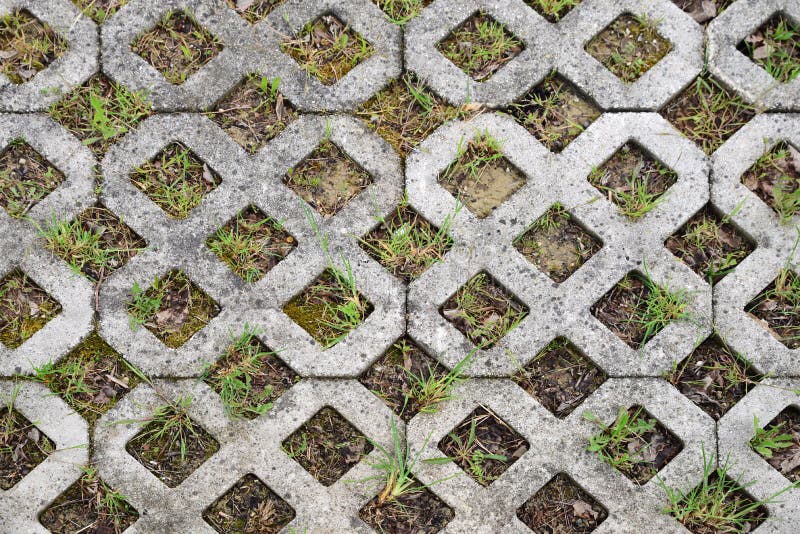 Fresh Green Grass Growing through Tiles Outdoors, Top View Stock Image ...