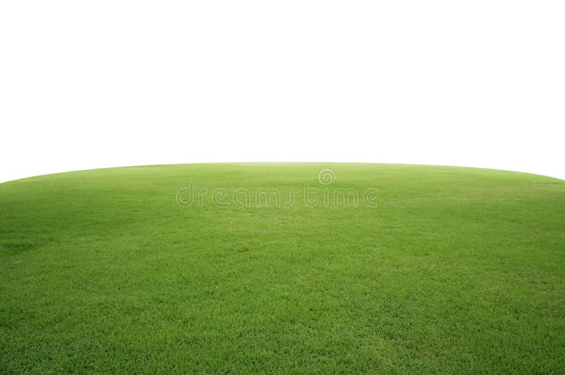Fresh Green Grass Lawn Isolated on White Background Stock Photo - Image ...