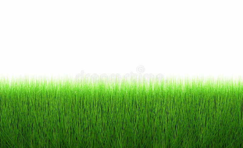 Fresh green grass line stock image. Image of environment - 28582305