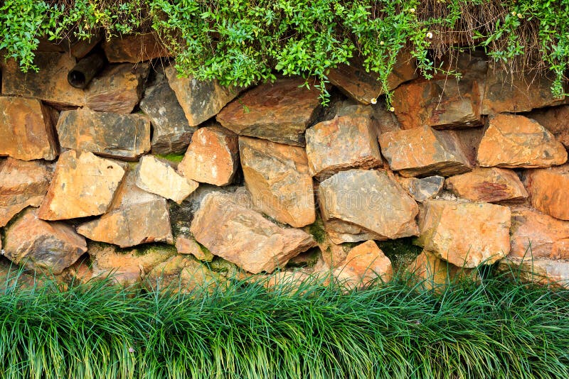 Fresh green grass on stone stock image. Image of gardening - 37041437