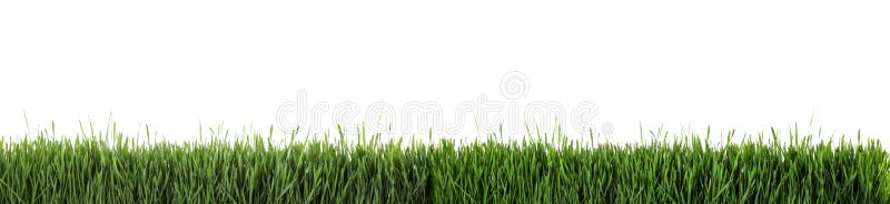Fresh Green Grass on Background, Banner Design. Spring Season Stock ...