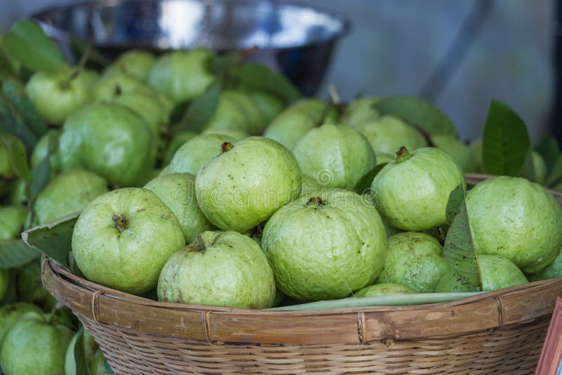 Fresh green guava stock image. Image of brightly, macro - 85837933