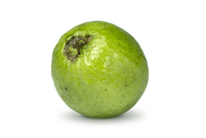 Fresh Green Guava Isolated on White Background Stock Photo - Image of ...