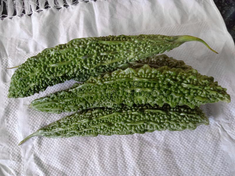 Fresh Green Healthy Bitter Gourd Stock Image - Image of veggies, green ...