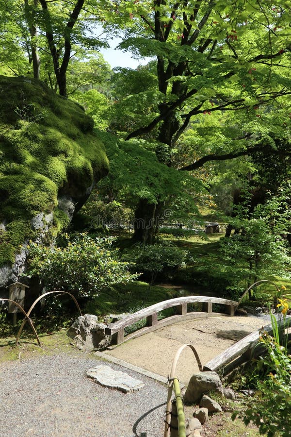 Fresh Green in Hogon-in Temple, Kyoto, Japan Editorial Image - Image of ...
