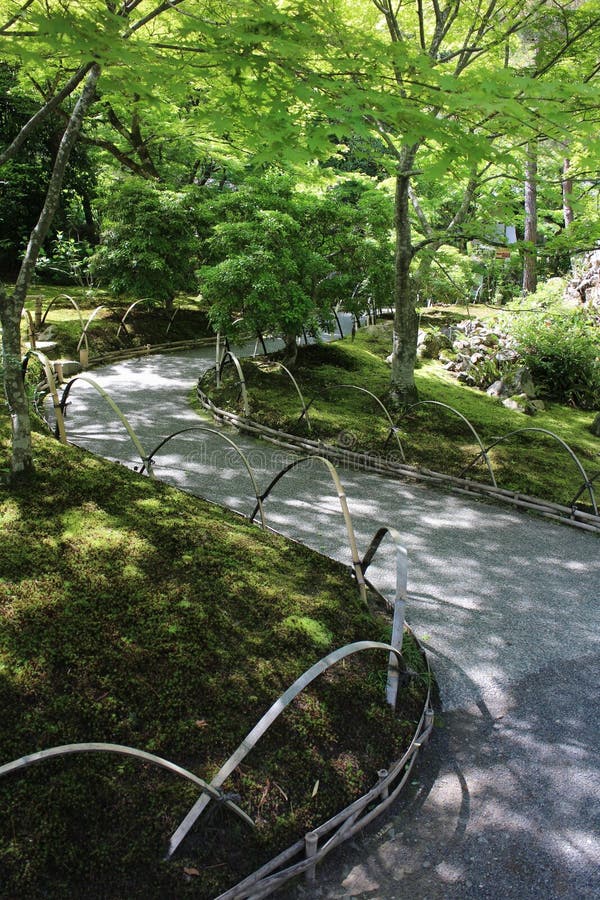 Fresh Green in Hogon-in Temple, Kyoto, Japan Stock Photo - Image of ...