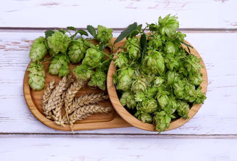 Fresh Green Hops and Ears of Wheat on White Wooden Table, Top View ...