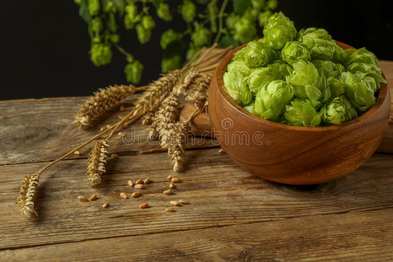 Fresh Green Hops, Wheat Grains and Spikes on Wooden Table Stock Photo ...