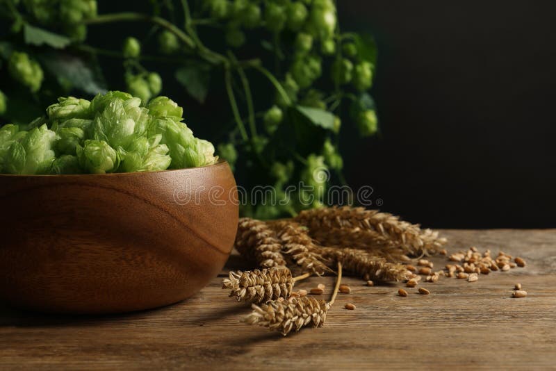 Fresh Green Hops, Wheat Grains and Spikes on Wooden Table, Space for ...