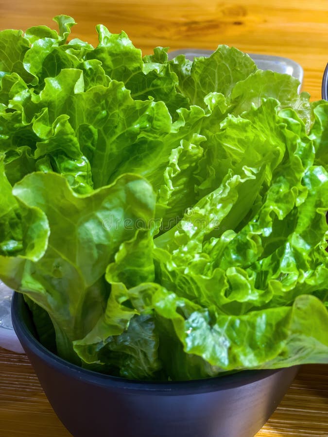 Fresh Green Ingredients Lettuce Close-up Stock Image - Image of ...
