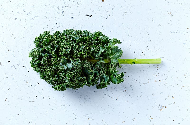 Kale or Leaf Cabbage Hardy Cool Season Annual Green Vegetable Plant ...