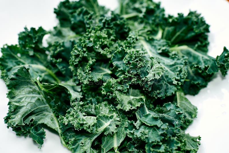 Fresh Green Kale in White Ceramic Bowl. Top View. Selective Focus Stock ...
