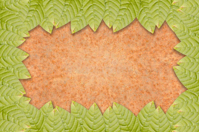 Green Leaf on Rusty Texture Stock Image - Image of template, striped ...