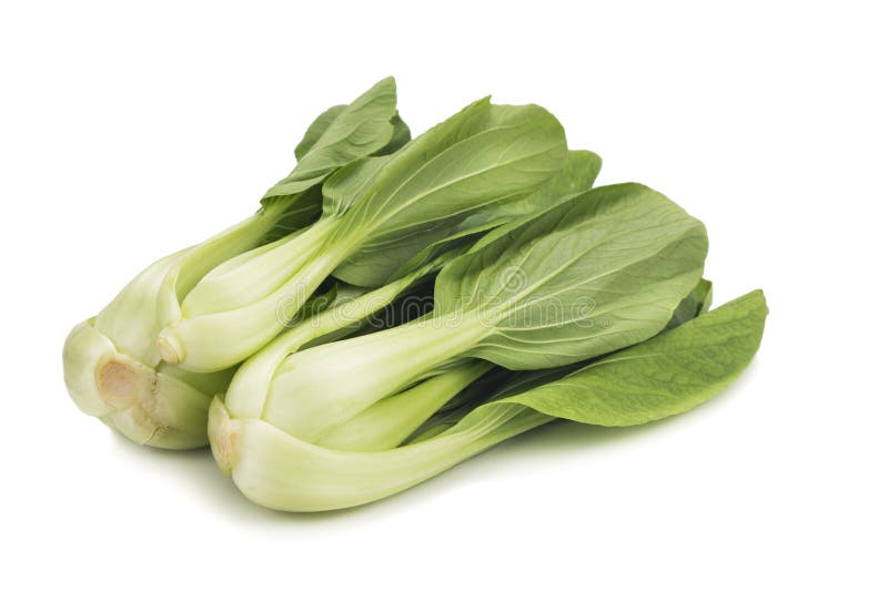 Fresh Green Leafy Bok Choy Vegetable Isolated in White. Stock Image ...