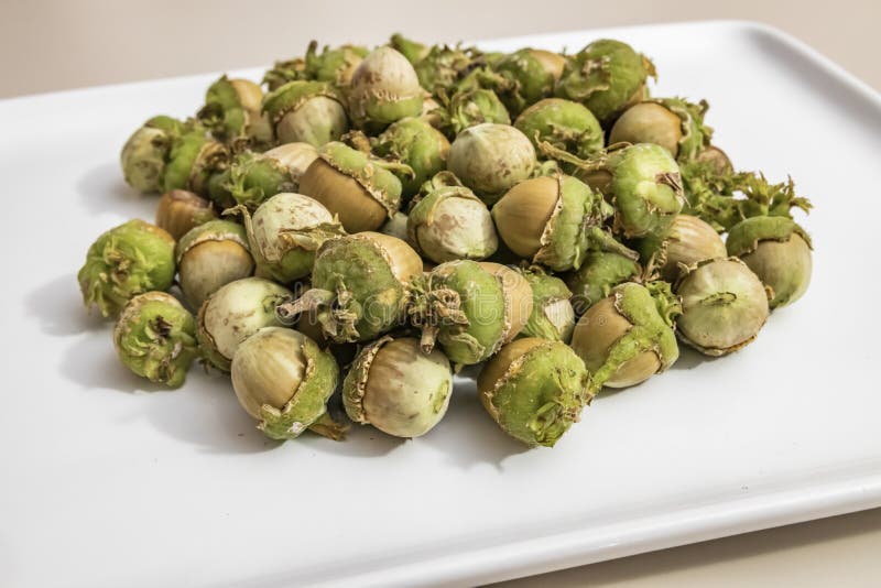 Fresh Green Leafy and Shelled Nuts Stock Image - Image of bowl ...