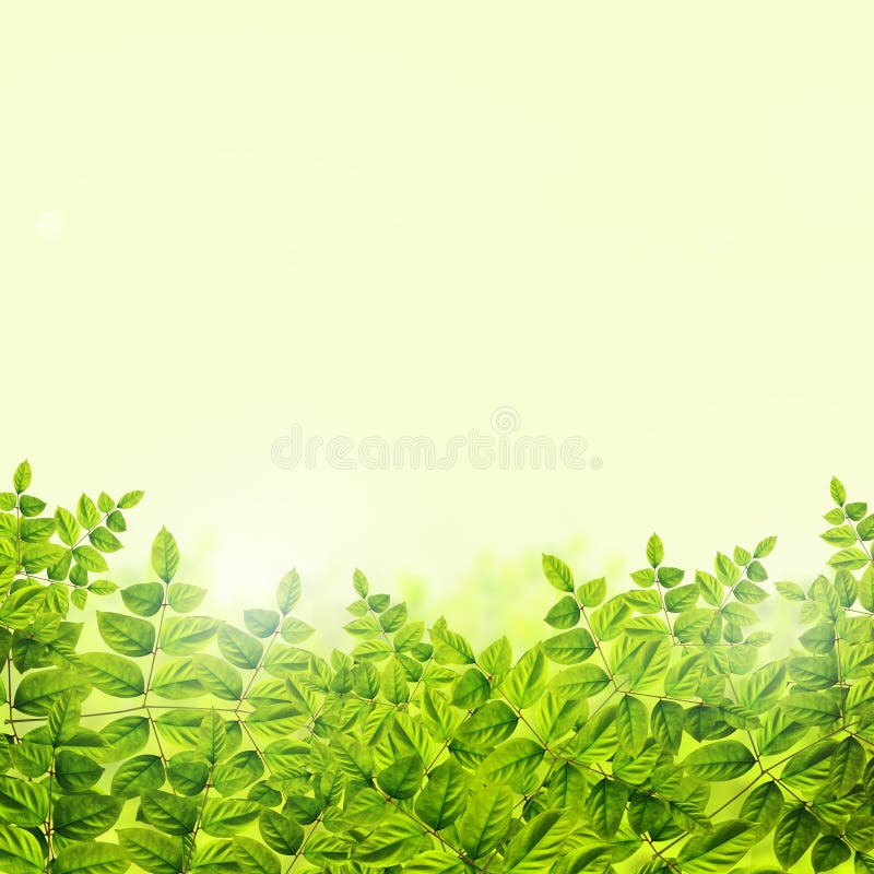 Fresh Green Leaves Background Stock Illustration - Illustration of ...