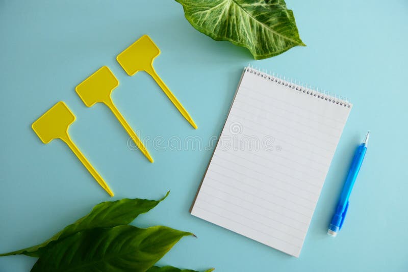 Fresh Green Leaves, Empty Notebook, Yellow Labels and a Blue Pen on a ...