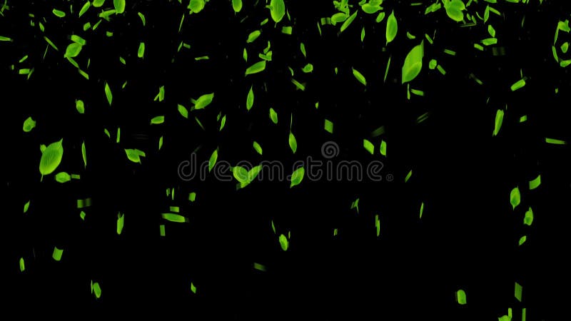 Fresh Green Leaves Falling on Black Background. CG Leaf Confetti. Loop ...