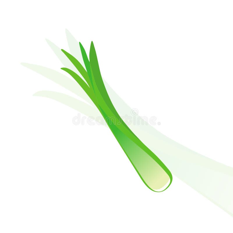 FRESH GREEN LEEK VECTOR DESIGN Stock Vector - Illustration of leek ...