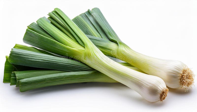 Leeks on a White Background_ Stock Illustration - Illustration of ...