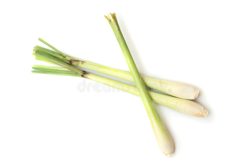 Fresh green lemon grass stock photo. Image of culinary - 135075576