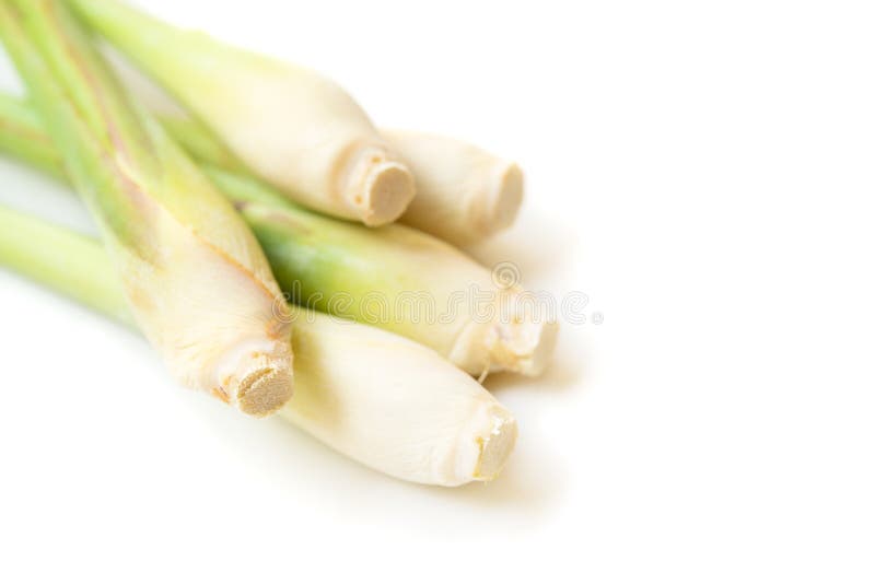 Fresh green lemon grass stock photo. Image of herb, fresh - 135075580