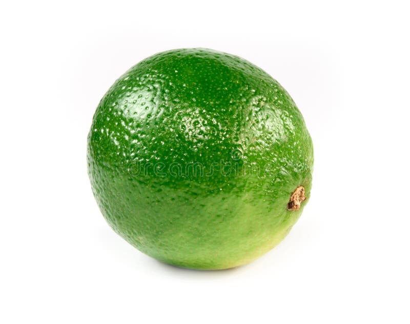 Fresh green lemon isolated stock photo. Image of fresh - 11594472
