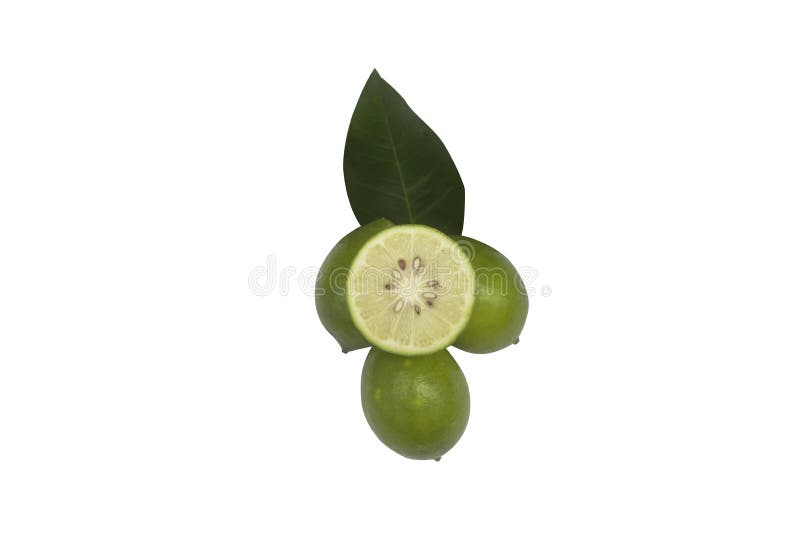 Fresh Green Lemon Slice Pieces with Leaves Isolated on a White ...