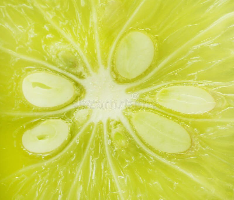 Fresh green lemon slice stock photo. Image of citrus - 103796892
