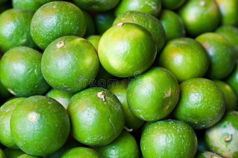 Fresh green lemons stock photo. Image of freshness, lemon - 25492042