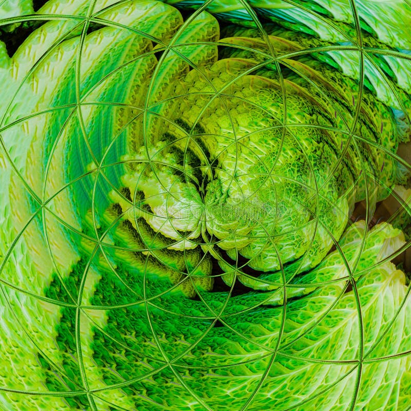 Fresh Green Lettuce Abstract Art Stock Image - Image of abstract ...