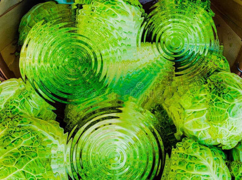 Fresh Green Lettuce Abstract Art Stock Photo - Image of abstract, fresh ...