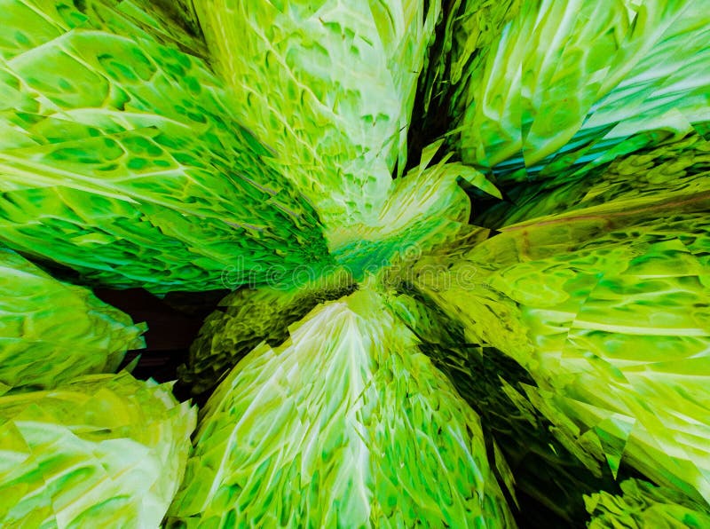 Fresh Green Lettuce Abstract Art Stock Image - Image of green, lettuce ...