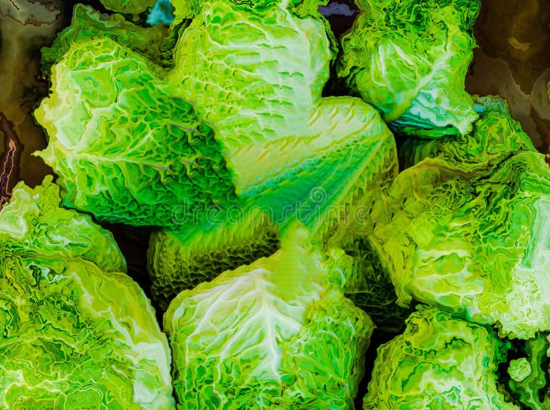 Fresh Green Lettuce Abstract Art Stock Image - Image of lettuce ...