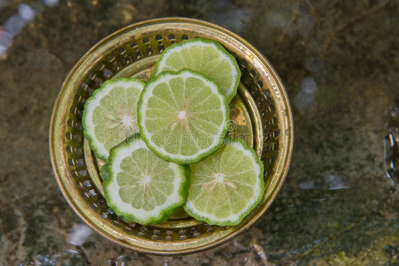 Fresh Green Lime on Golden Bowl 1 Stock Image - Image of white ...