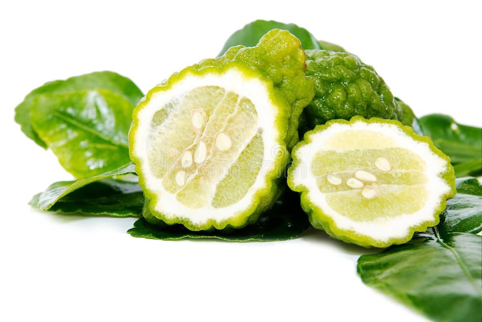 Fresh green lime. Kafir stock image. Image of closeup - 31158073