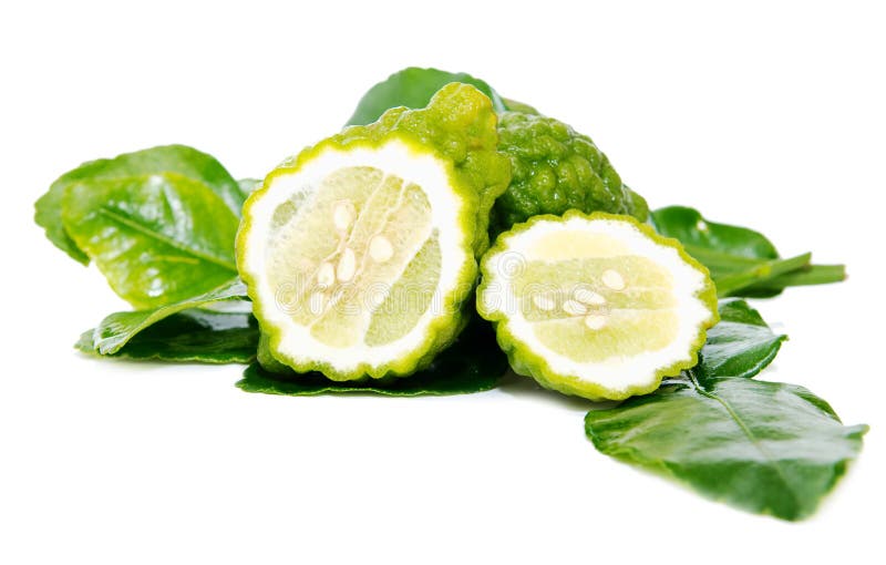 Fresh green lime. Kafir stock image. Image of lime, organic - 16585659