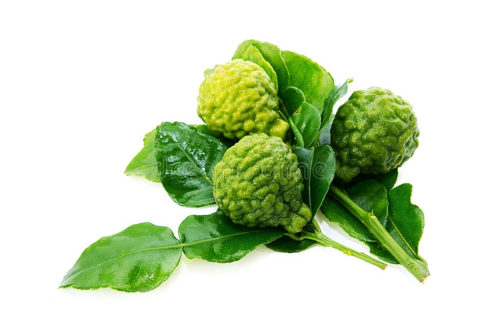 Fresh green lime. Kafir stock photo. Image of fruit, bunch - 31158078