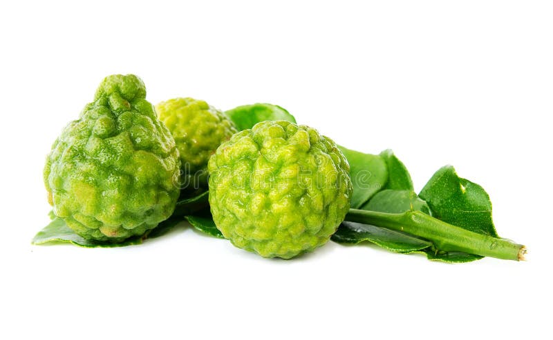 Fresh green lime. Kafir stock image. Image of freshness - 31158089