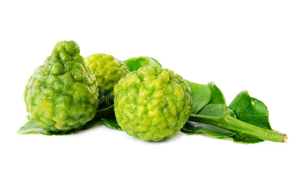 Fresh green lime. Kafir stock image. Image of freshness - 31158089