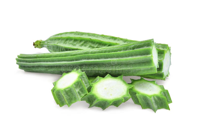 Green Luffa, Sponge Gourd, Smooth Loofah, Vegetable Sponge, Gourd Towel ...