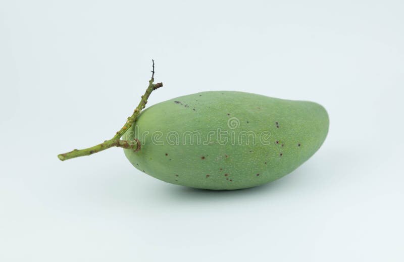 Fresh Green Mango Fruit on White Background Stock Photo - Image of ...