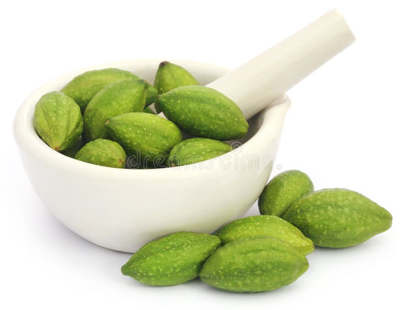 Fresh Green Medicinal Haritaki Stock Photo - Image of ayurveda, healthy ...