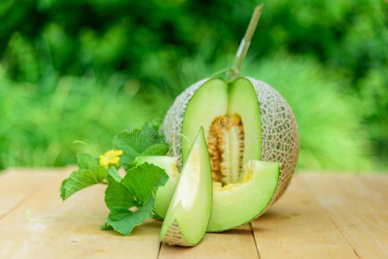 Fresh Green melon stock photo. Image of healthy, juicy - 187089164
